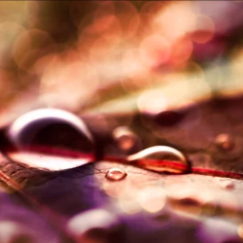 “Falling in love” – Deeply Rooted in Love