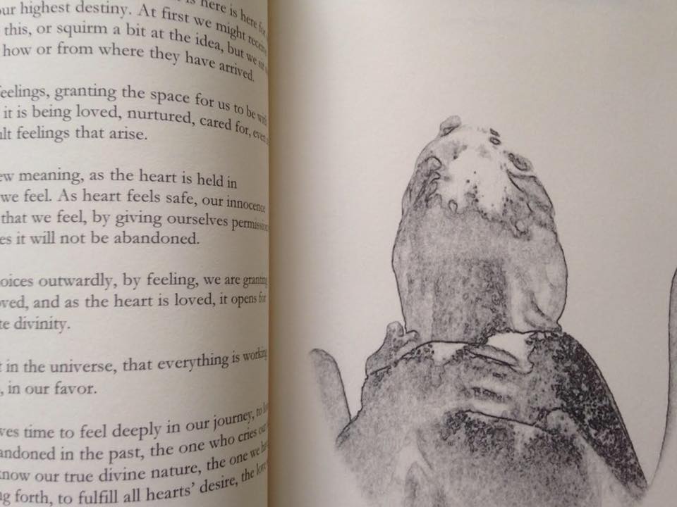 Books - Deeply Rooted in Love